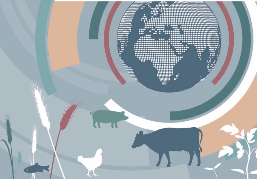 FAO: Οι επιπτώσεις της κλιματικής κρίσης έφεραν μείωση στην παραγωγή ...